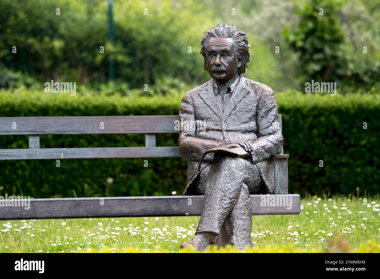Standbeeld Albert Einstein (Albert Einstein bench statue) to memorize ...