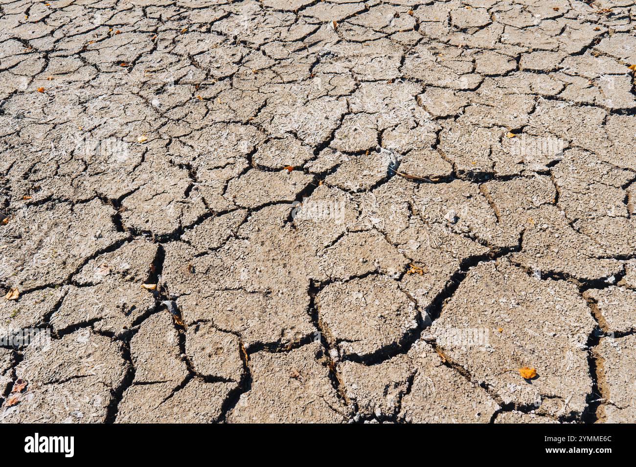 Rough clay bodies hi-res stock photography and images - Alamy
