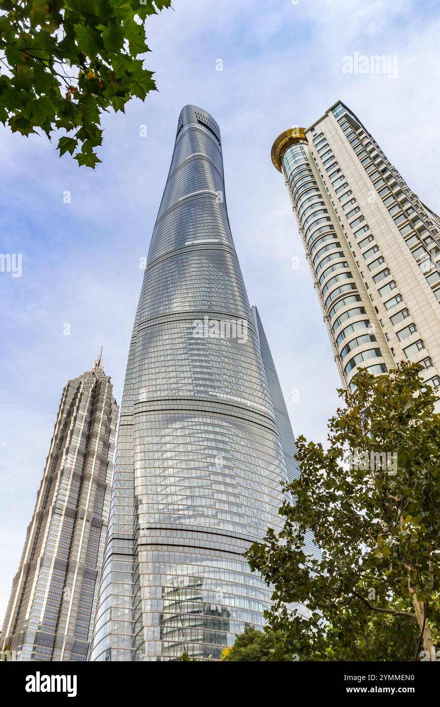 Trees in front of the Shanghai tower in the Pudong district of Shanghai ...