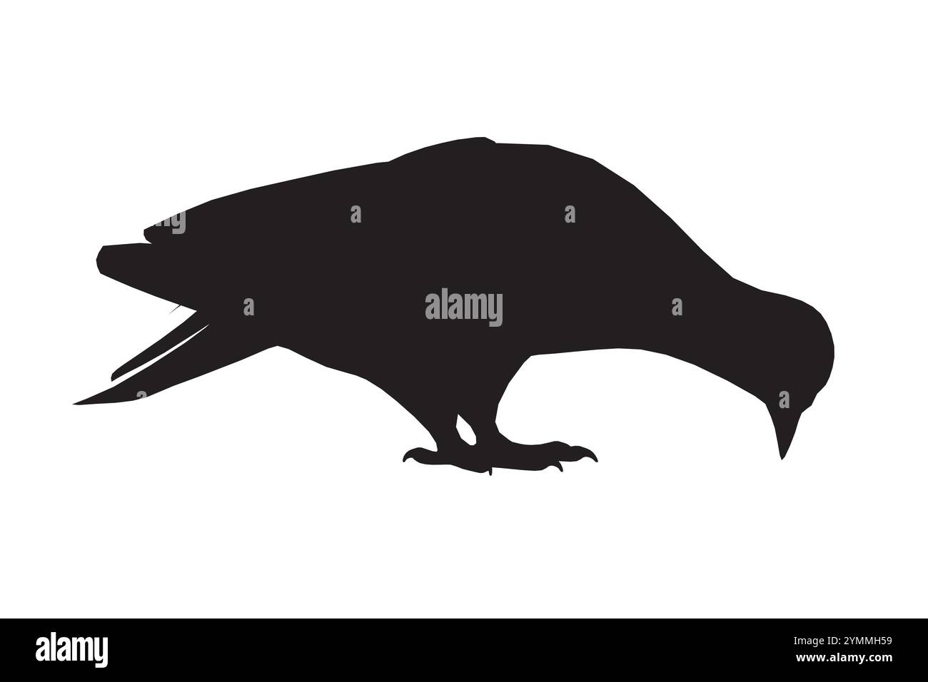 Pigeon vector illustration, animal isolated on white, Pigeon silhouette ...