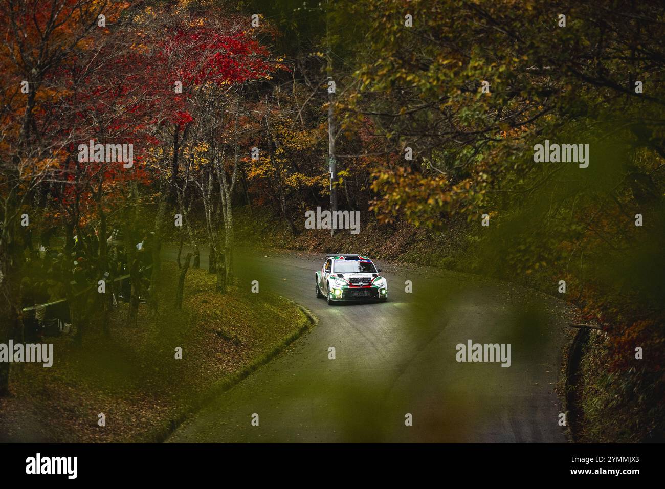 30 INGRAM Christopher, KIHURANI Alexander, Toyota Yaris Rally2, action ...