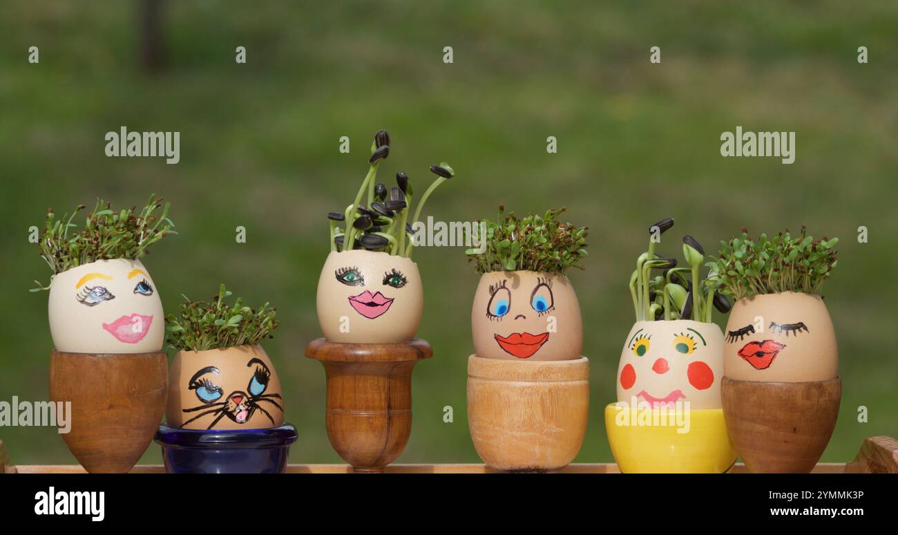 Different sprouts grow Stock Photo - Alamy