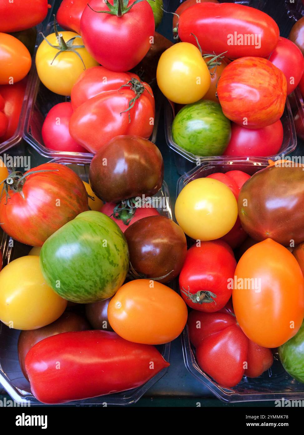 plastic boxes full of different species of tomatoes in the market Stock ...