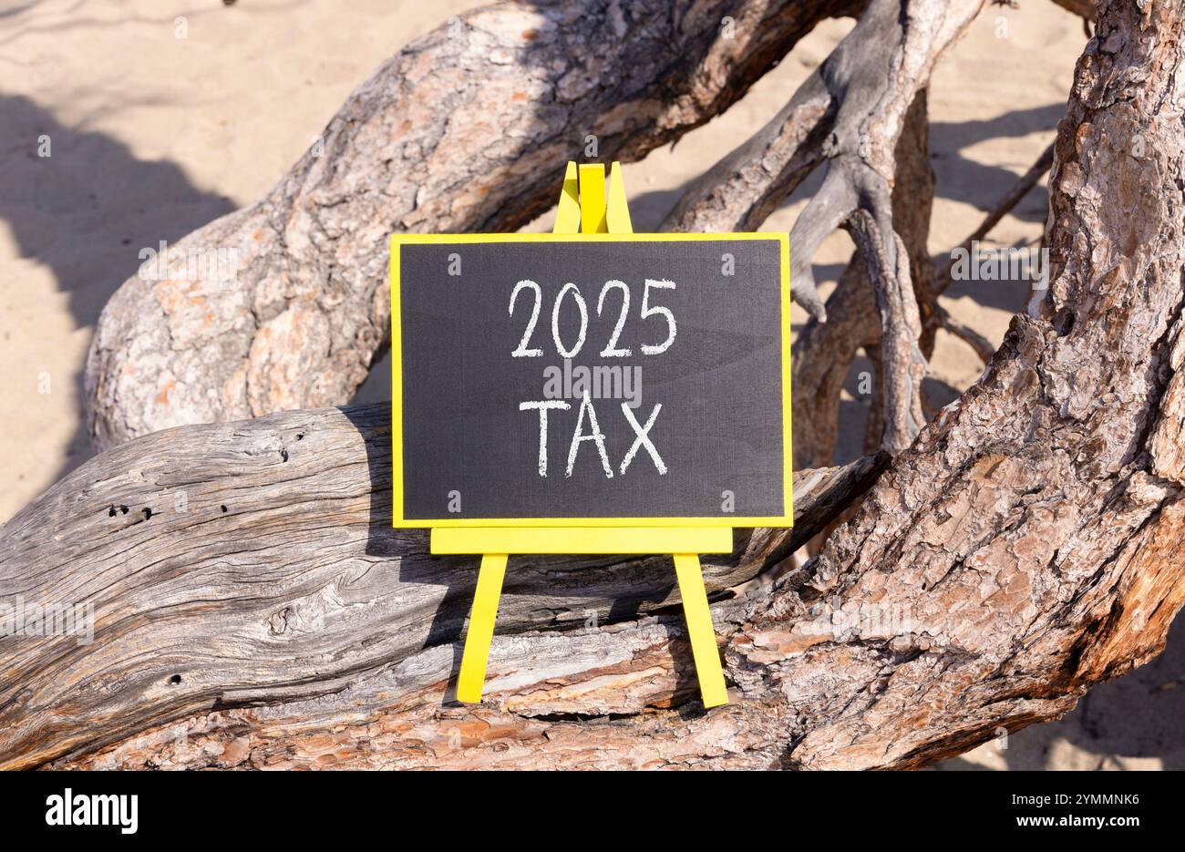 Planning 2025 tax new year symbol. Concept words 2025 Tax on beautiful ...