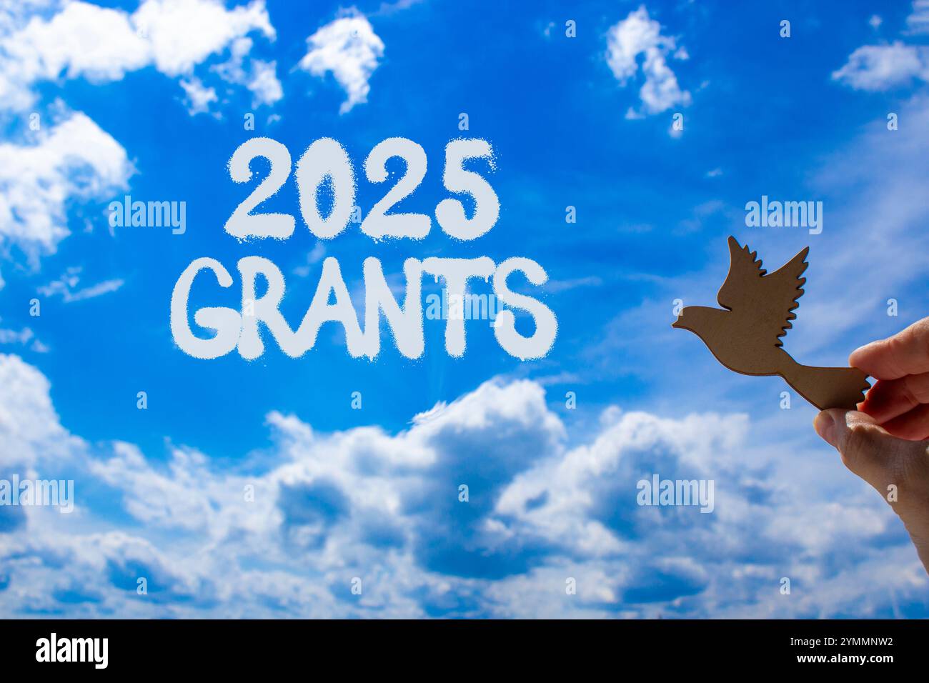 Planning 2025 grants new year symbol. Concept words 2025 Grants on ...