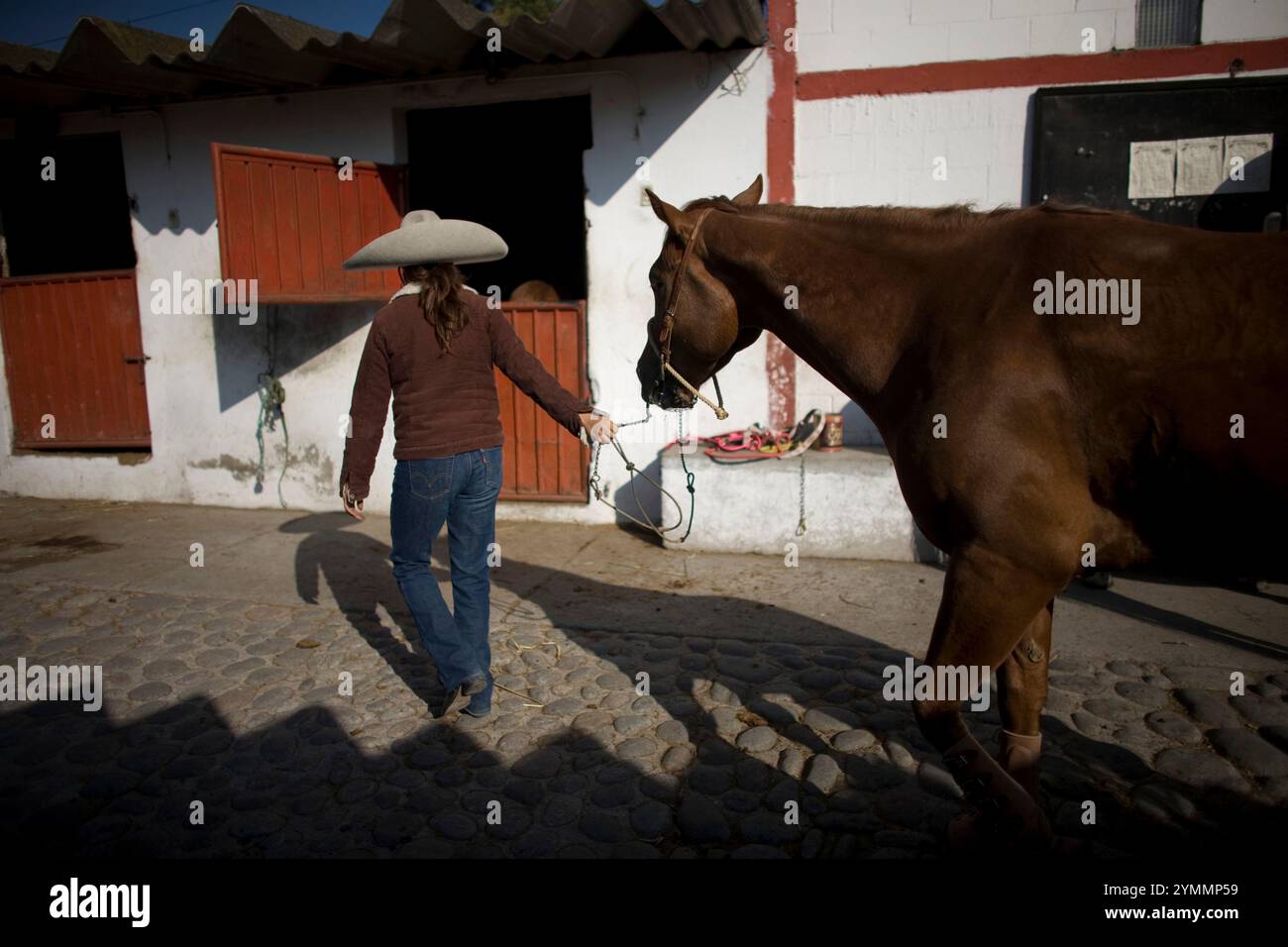 An amazona leads her horse to the stable in Mexico City Stock Photo - Alamy
