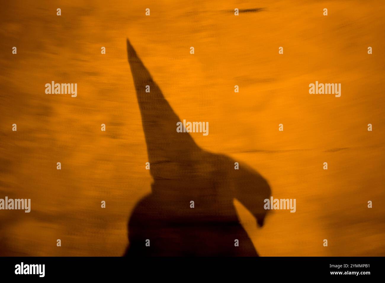 A penitent's shadow is cast on a wall during a late night Holy Week ...