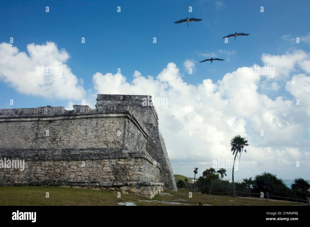 Mexico city architecture tour hi-res stock photography and images - Alamy