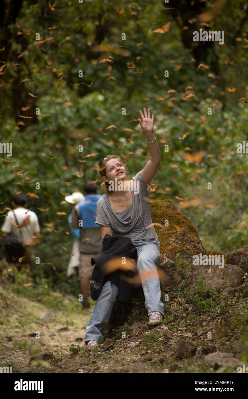 A tourist watches monarch butterflies (Danaus plexippus) flying in ...