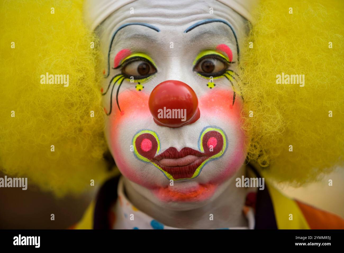 A clown at the 16th International Clown Convention Stock Photo - Alamy