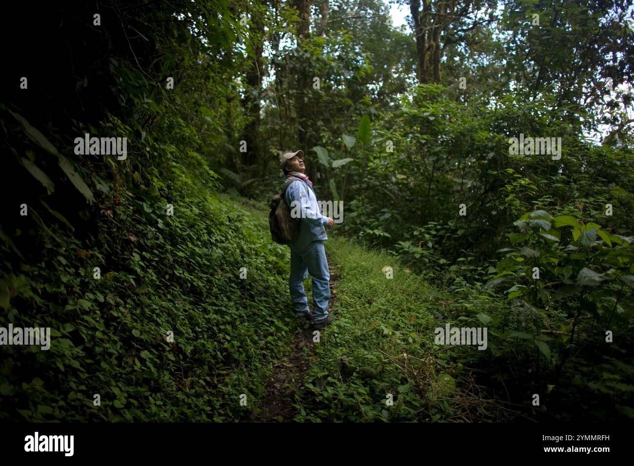 Park Ranger Ismael Galvez, an expert in birds, looks for birds in El ...