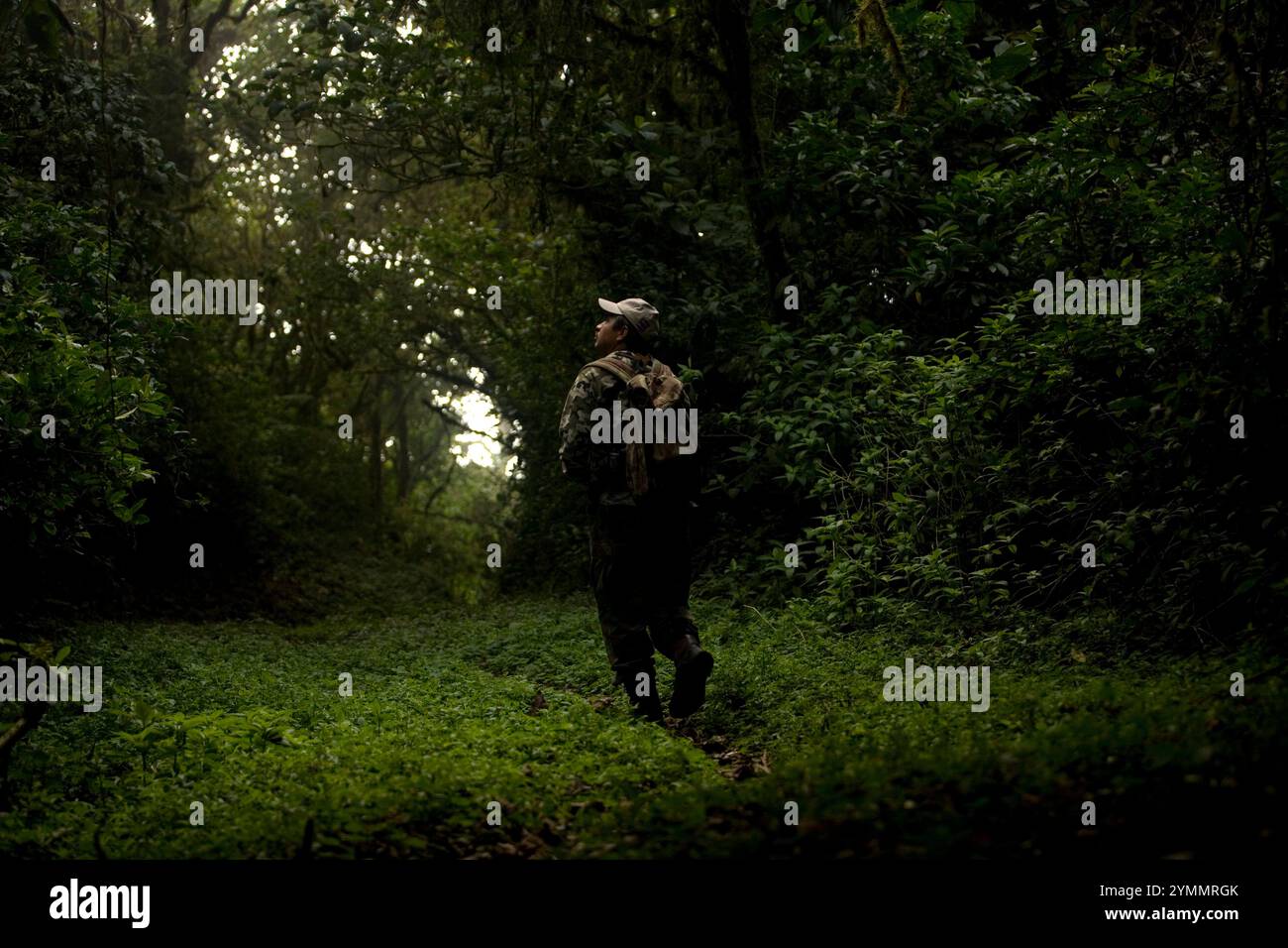 A bird expert looks for birds in the Sierra Madre mountains Stock Photo ...