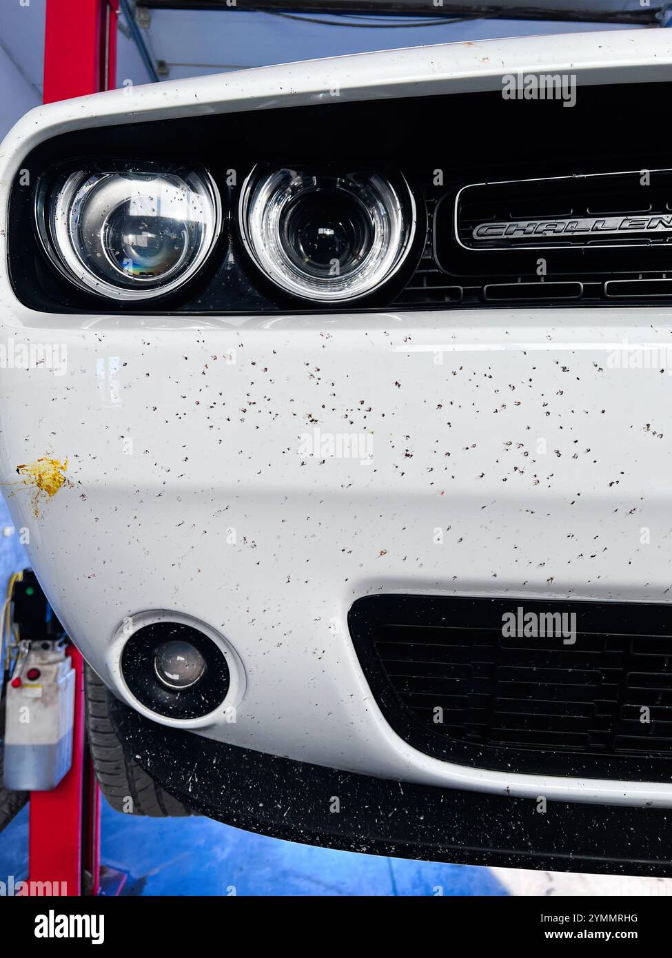 White dodge challenger hi-res stock photography and images White dodge challenger hi-res stock photography and images