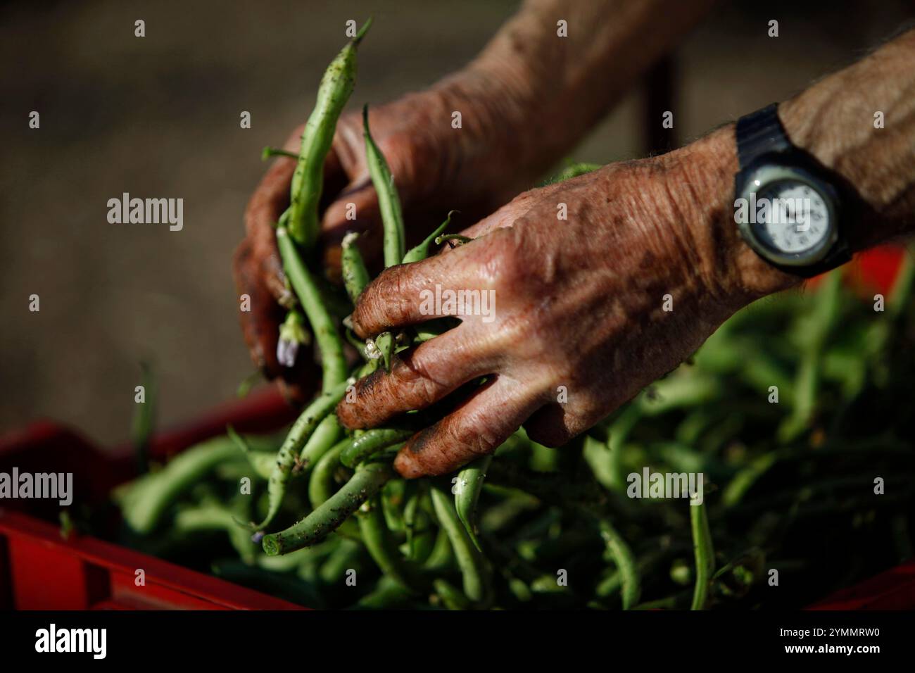 Senior spain eating hi-res stock photography and images - Alamy