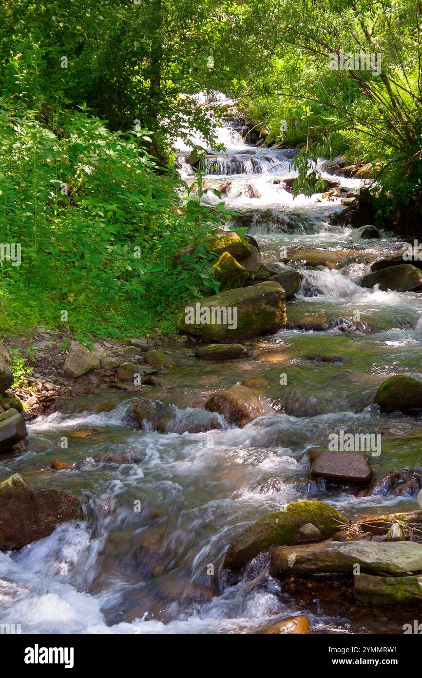 Serene stream flowing through hi-res stock photography and images - Alamy