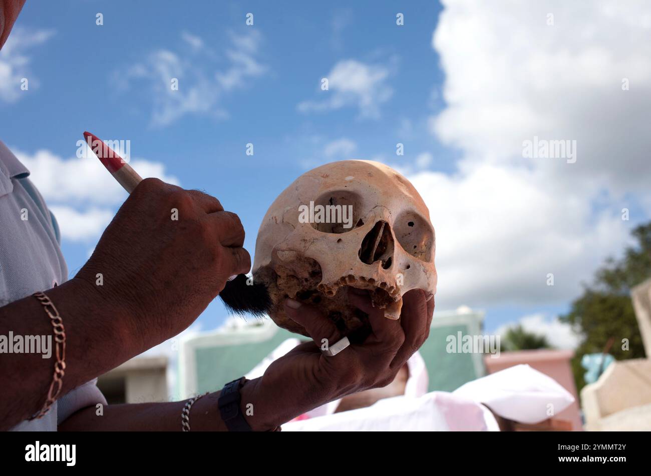 Bone cleaning hi-res stock photography and images - Alamy