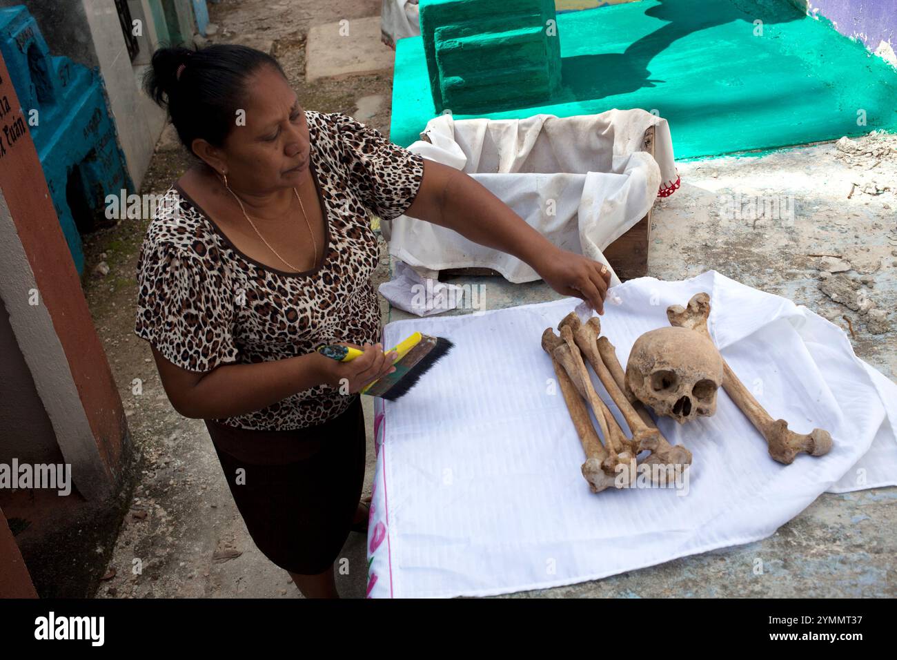 Bone cleaning hi-res stock photography and images - Alamy