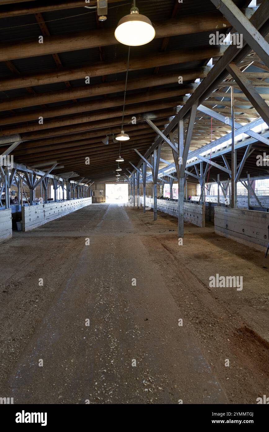 Livestock tools hi-res stock photography and images - Alamy