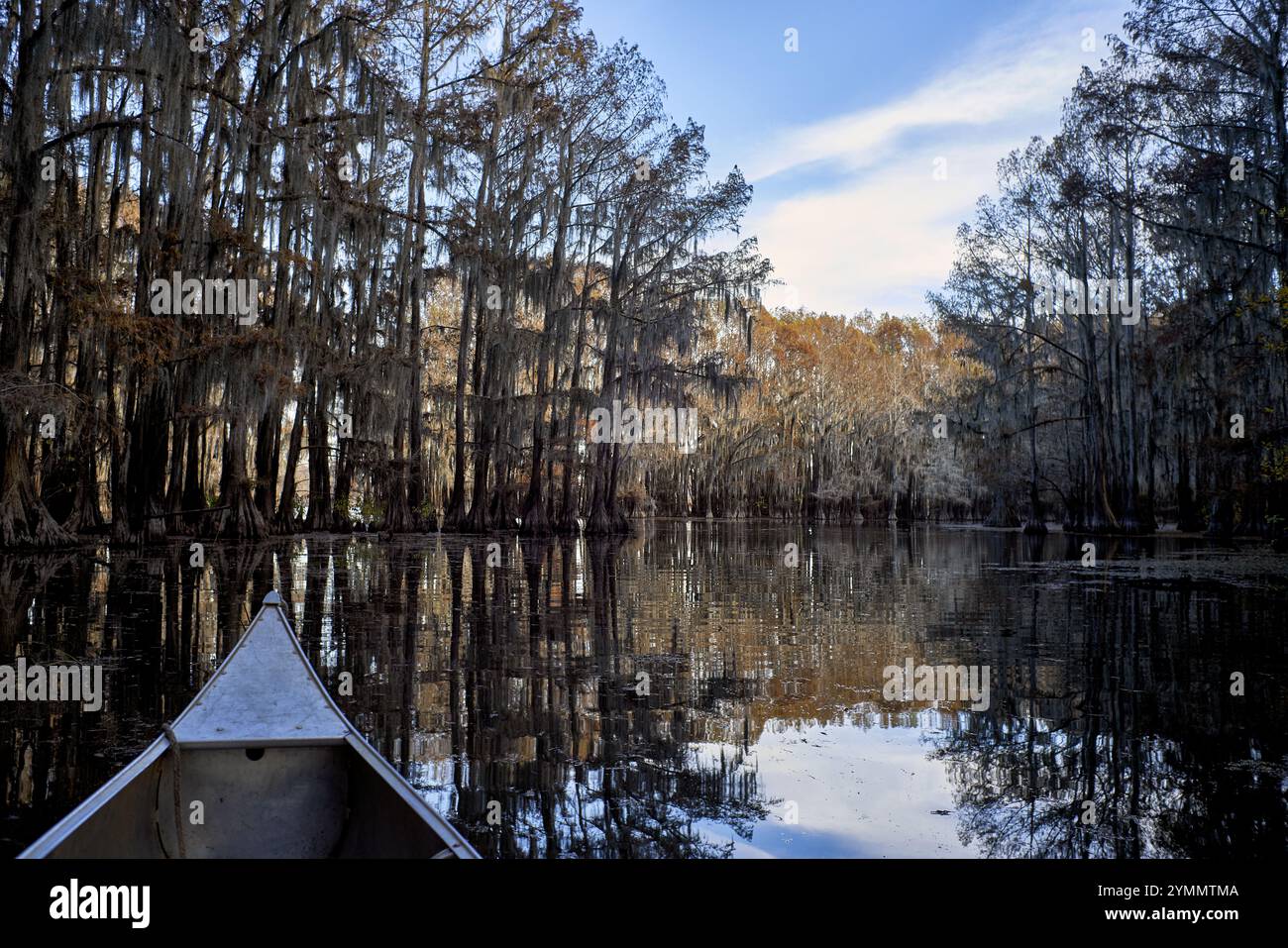 A calm Caddo lake and canoe Stock Photo - Alamy