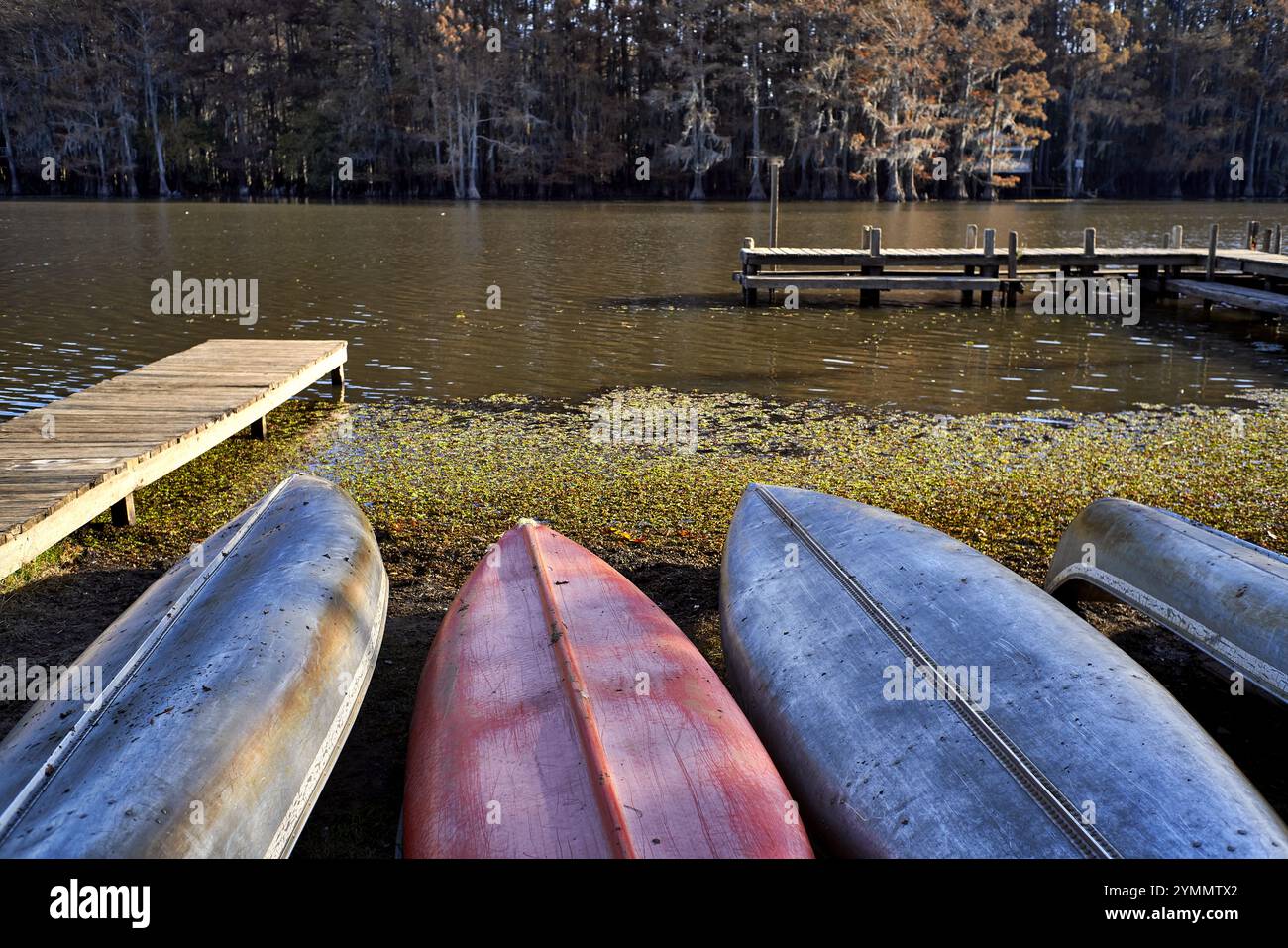 Lake caddo canoe hi-res stock photography and images - Alamy