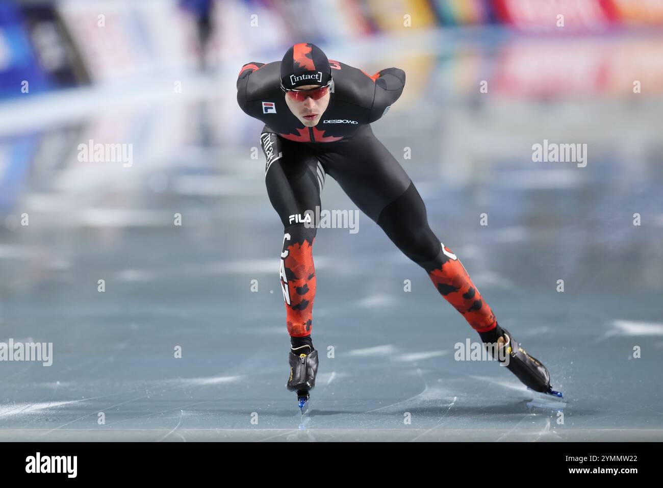 Nagano, Japan. 22nd Nov, 2024. David La Rue (CAN) Speed Skating : ISU ...