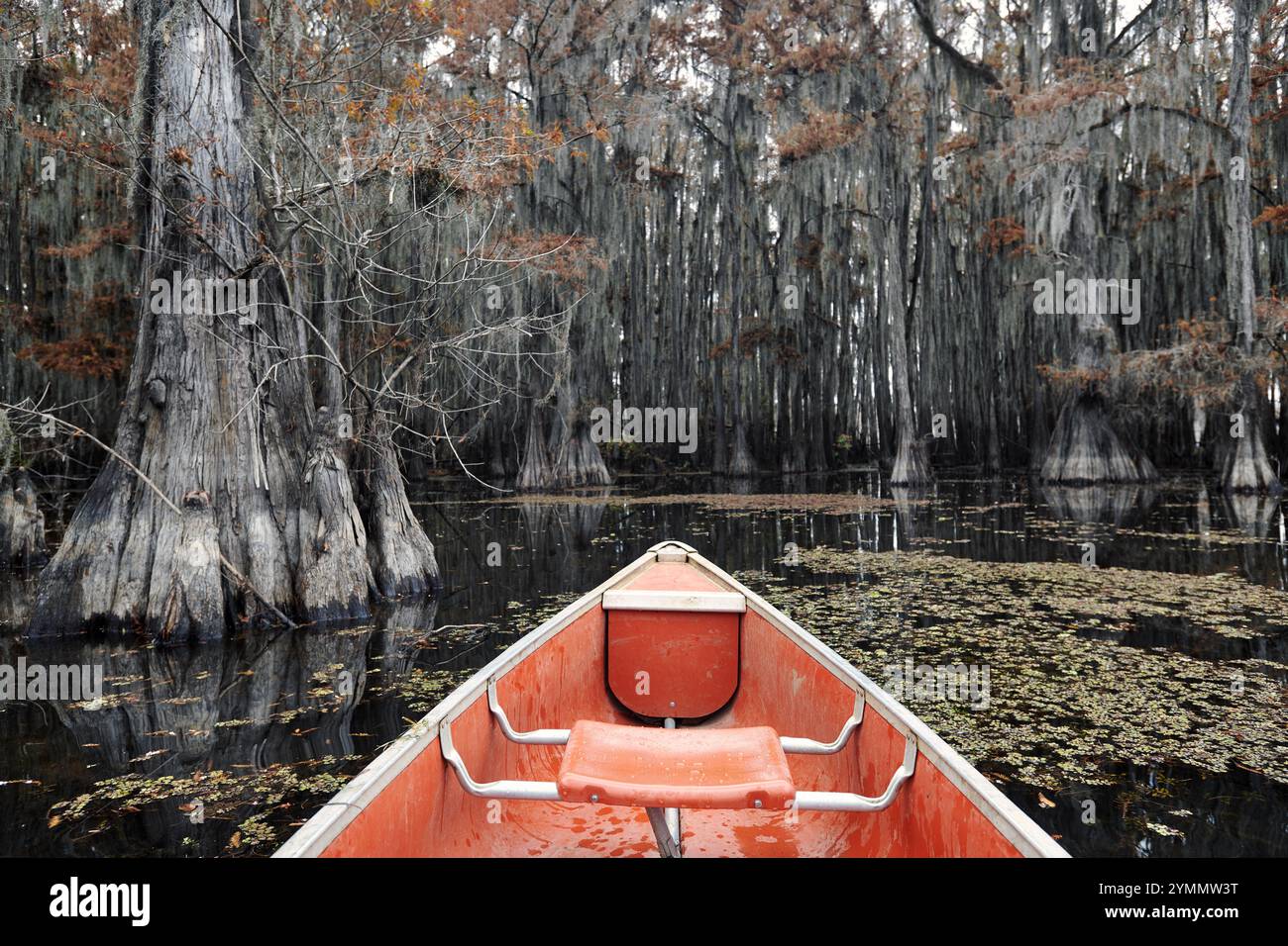 Rustic canoe hi-res stock photography and images - Alamy
