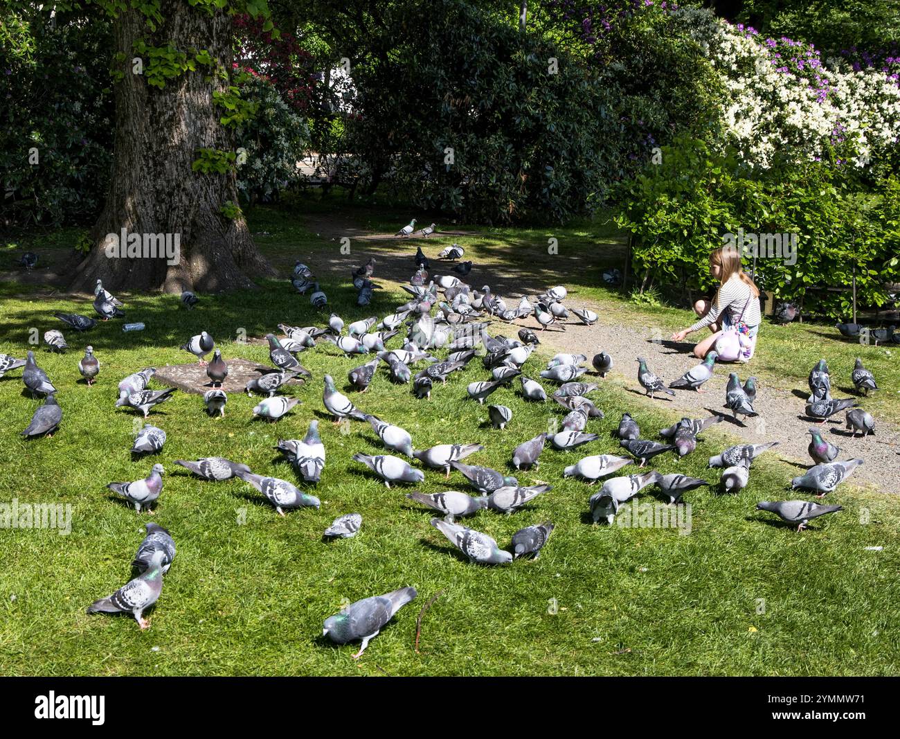 Bergen, feeding, child, girl, Norge, Norway, park, city, city park ...