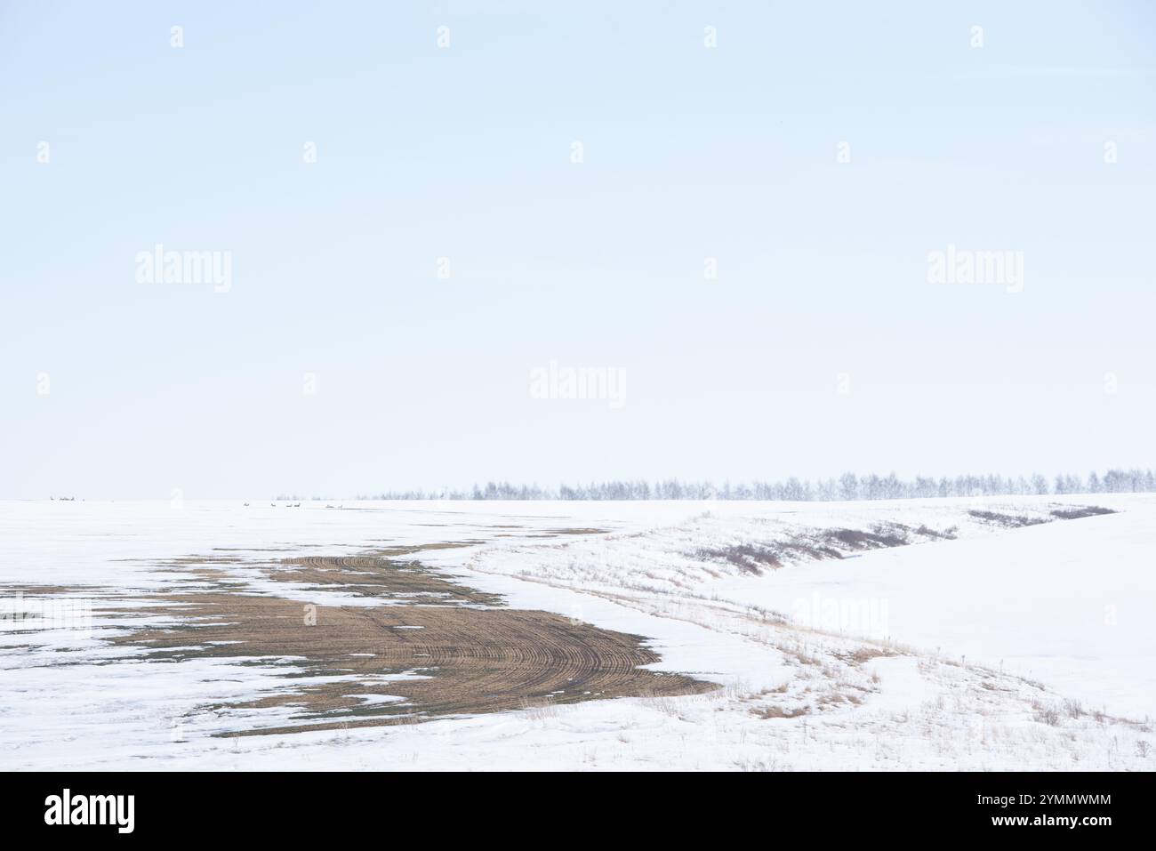 Snow covered path winding hi-res stock photography and images - Alamy
