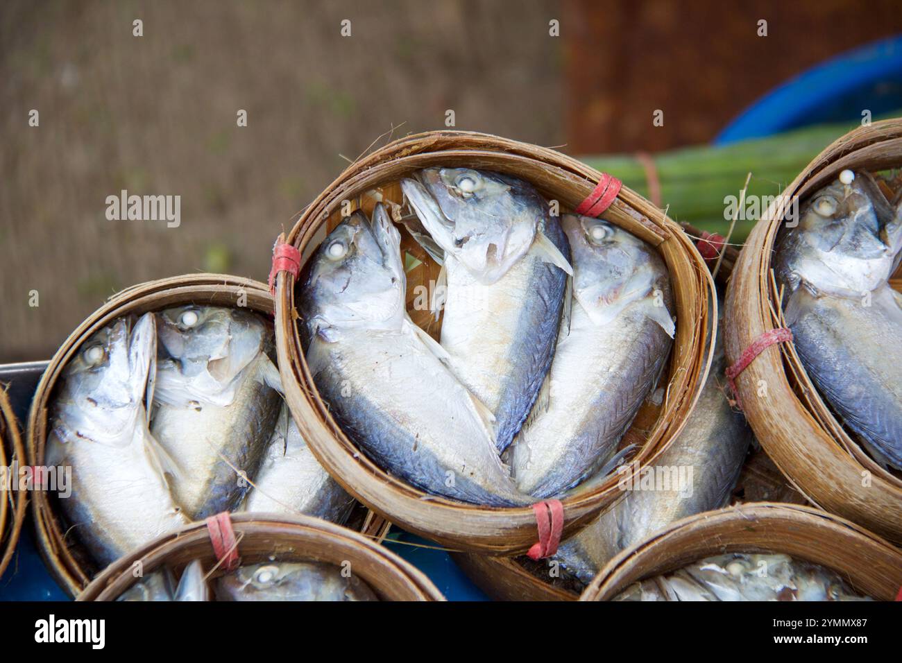dry salted fish preserved in wooden boxes, thai market Stock Photo - Alamy