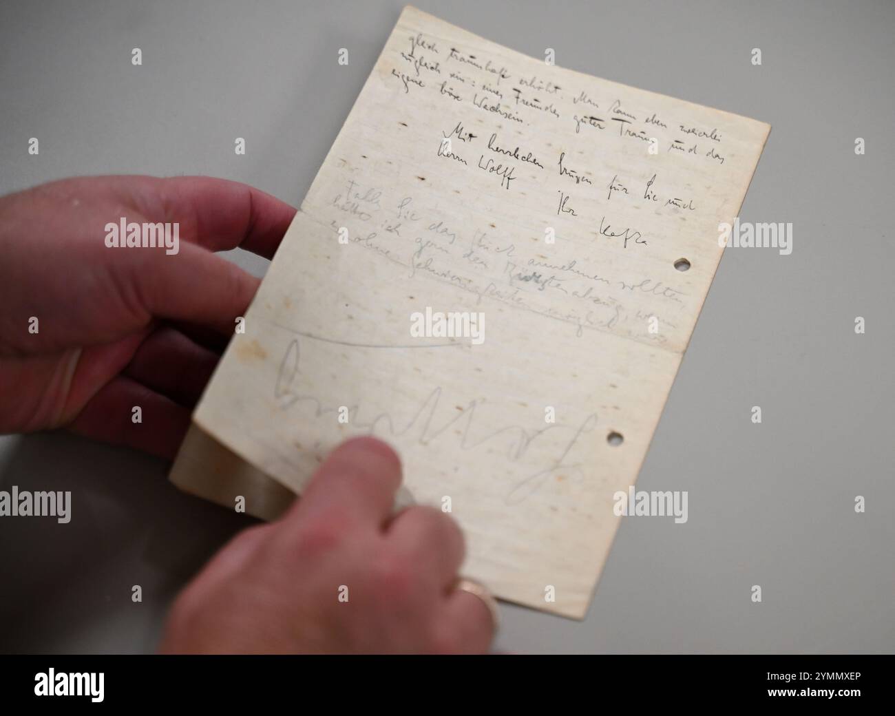 PRODUCTION - 21 November 2024, Hamburg: A person holds the back of a ...