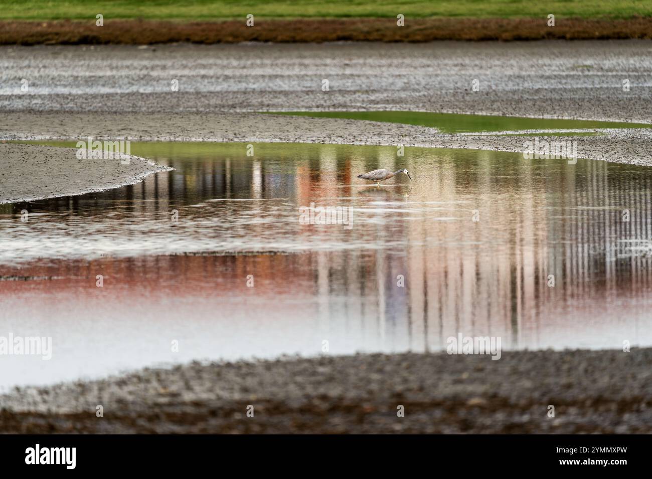 Flat north sea water hi-res stock photography and images - Alamy