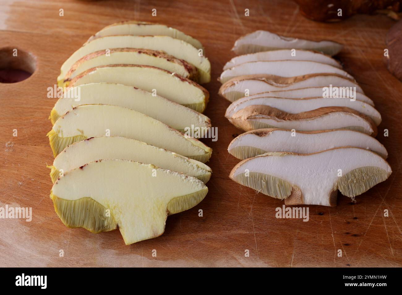 difference of color between slices of boletus regius yellow and boletus ...