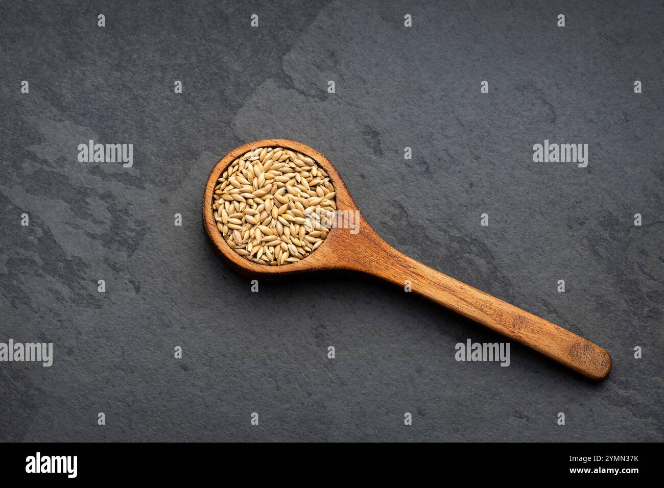 Phalaris canariensis - Bird seed food grain Stock Photo - Alamy