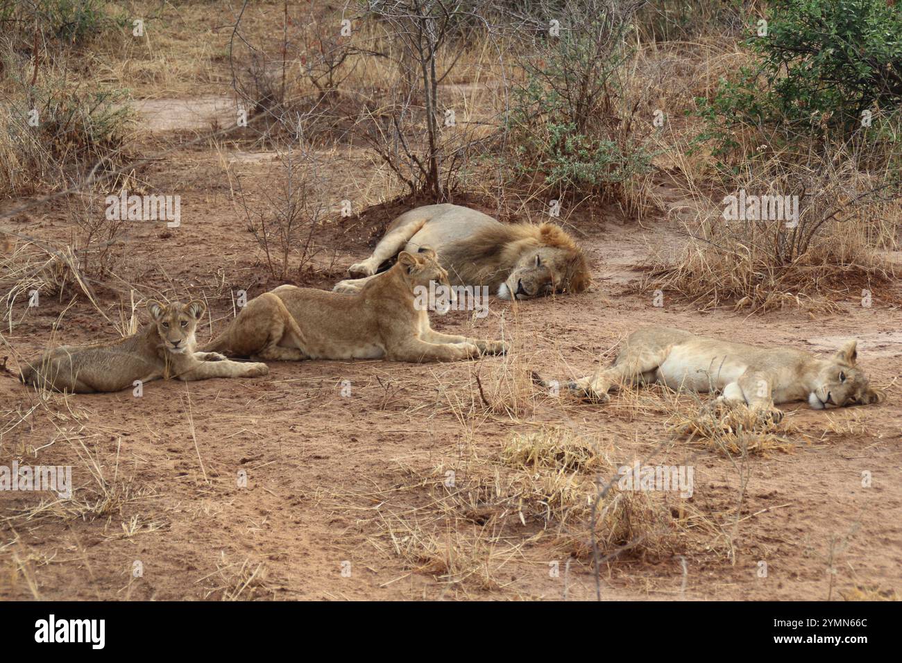 Time to rest after hard work Stock Photo - Alamy