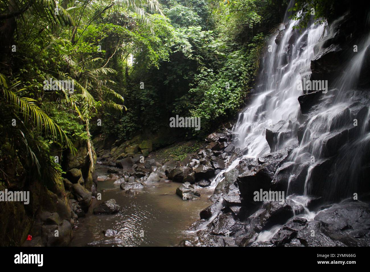 Jungle Falls in the wilderness of Indonesia, Bali Stock Photo - Alamy