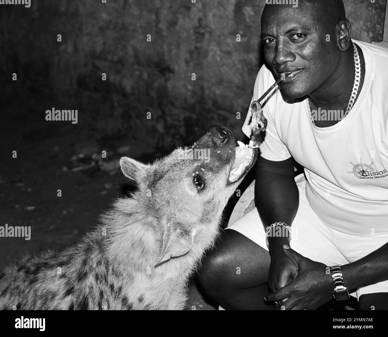 ETHIOPIA,HARAR,Every day at sunset the hyenas are fed raw meat Stock ...