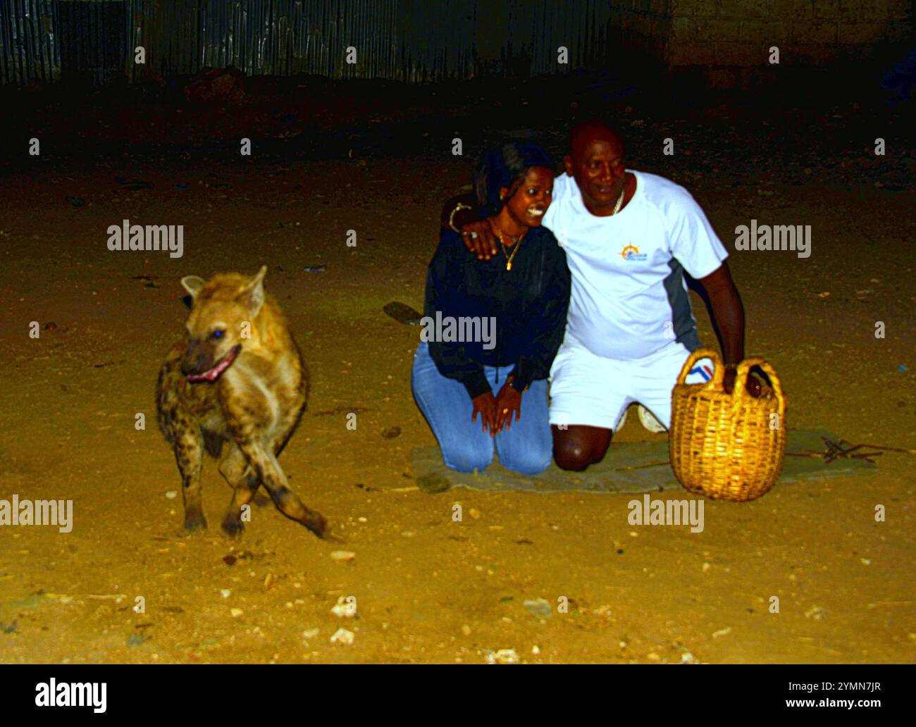 ETHIOPIA,HARAR,Every day at sunset the hyenas are fed raw meat Stock ...
