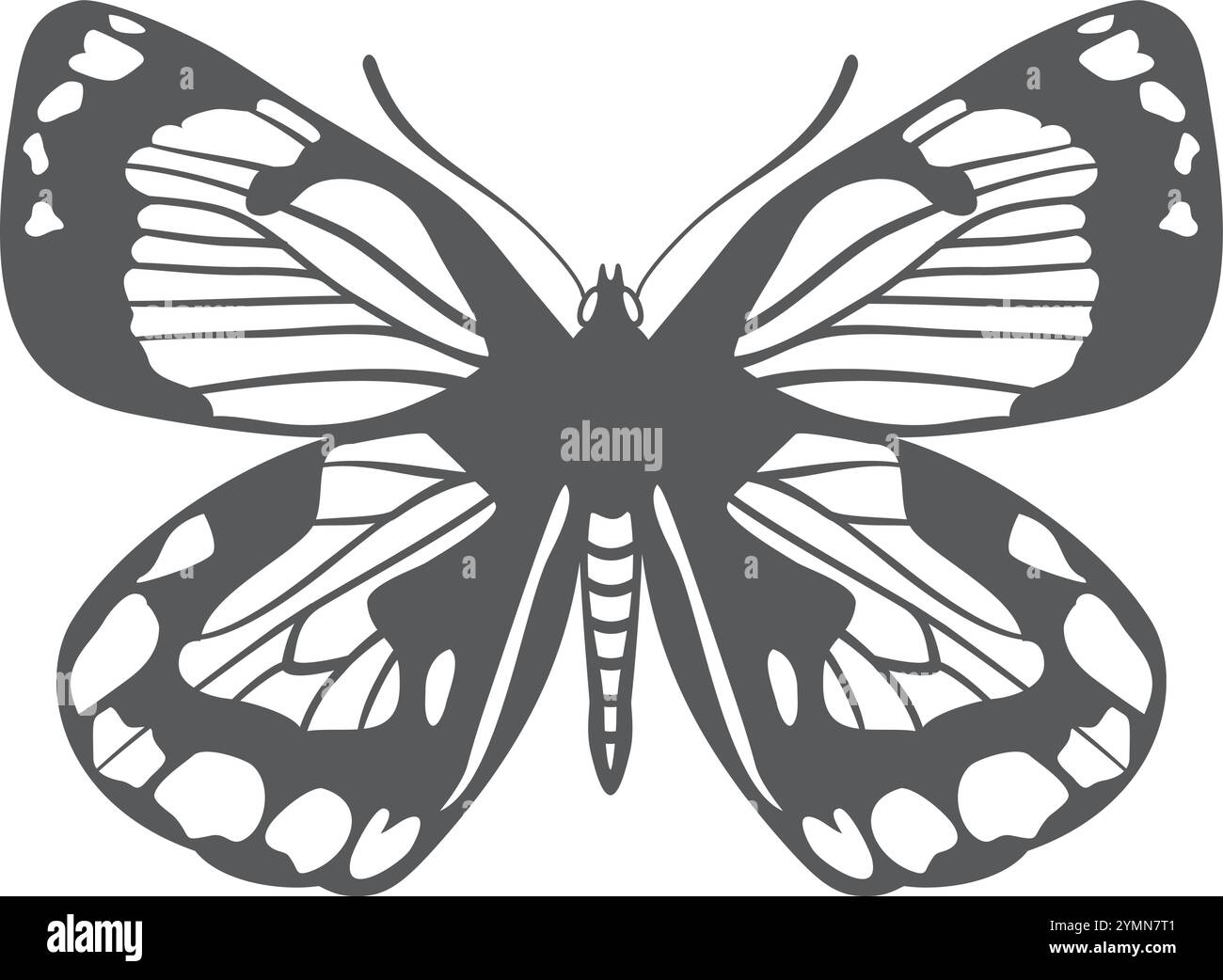 Patterned wings butterfly. Exotic night moth drawing isolated on white ...