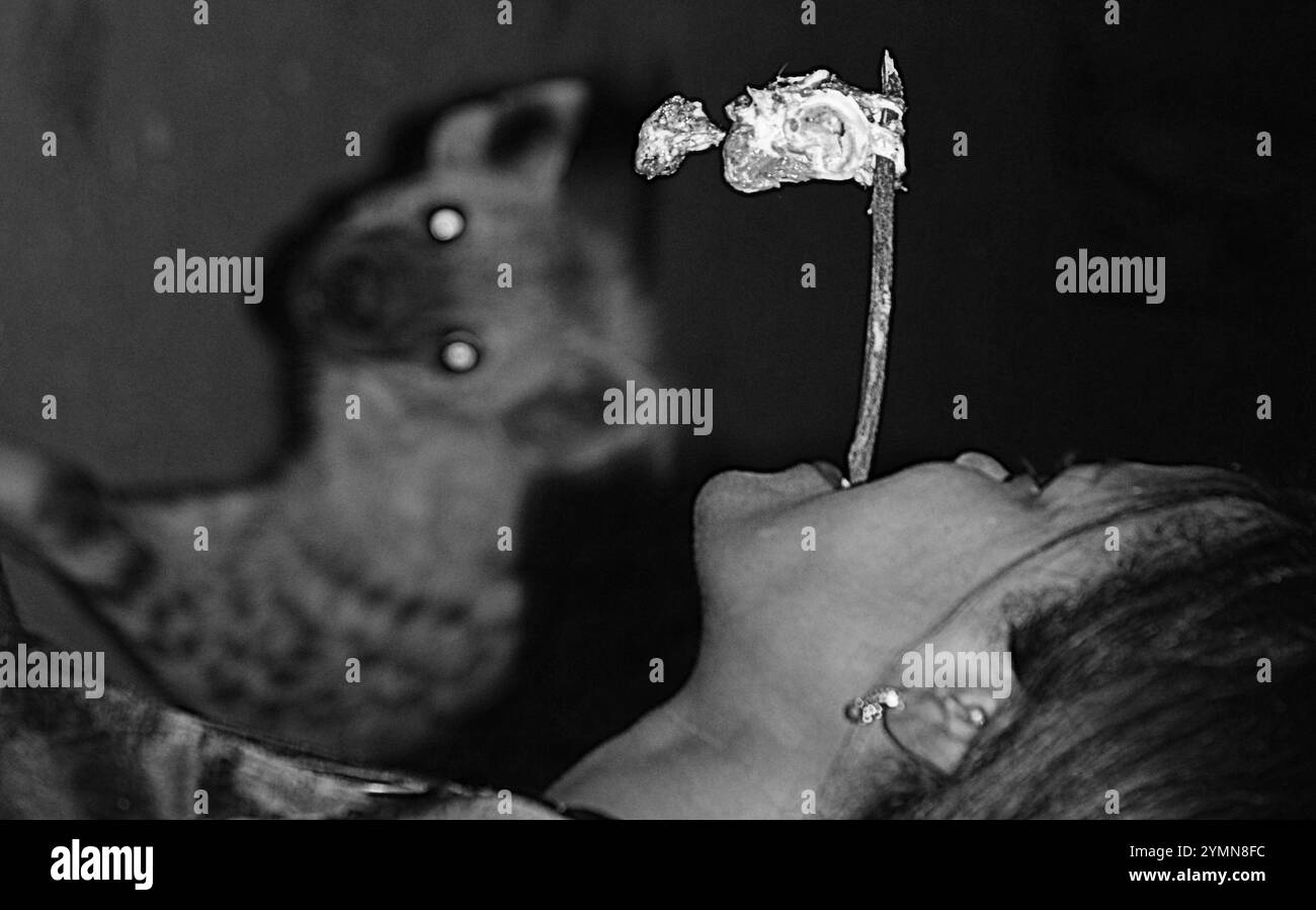 ETHIOPIA,HARAR,Every day at sunset the hyenas are fed raw meat Stock ...