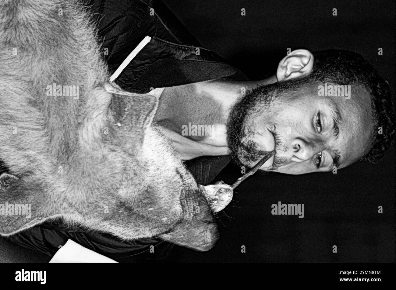 ETHIOPIA,HARAR,Every day at sunset the hyenas are fed raw meat Stock ...