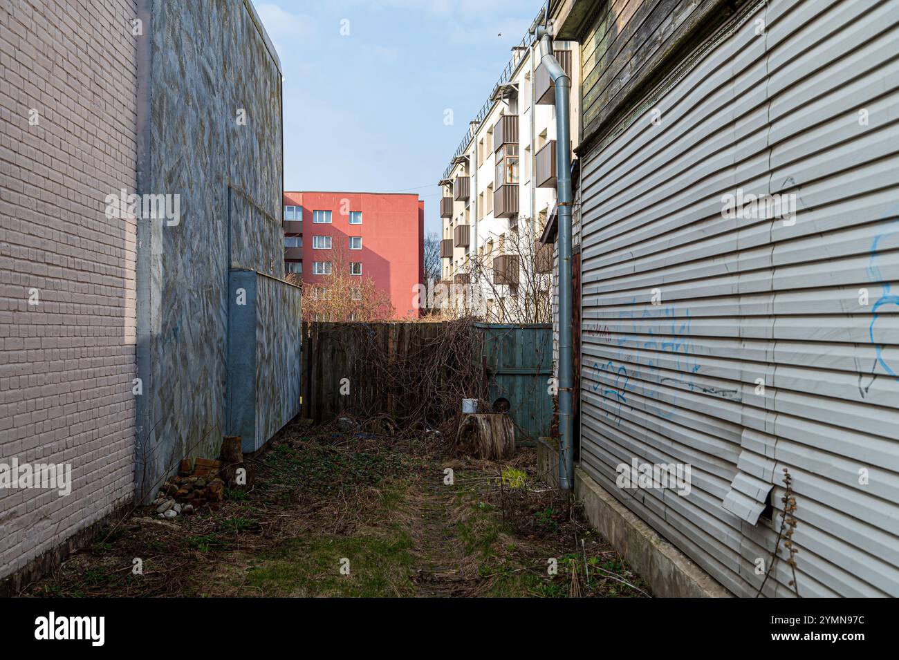 A narrow passage between two buildings shows overgrown plants and ...