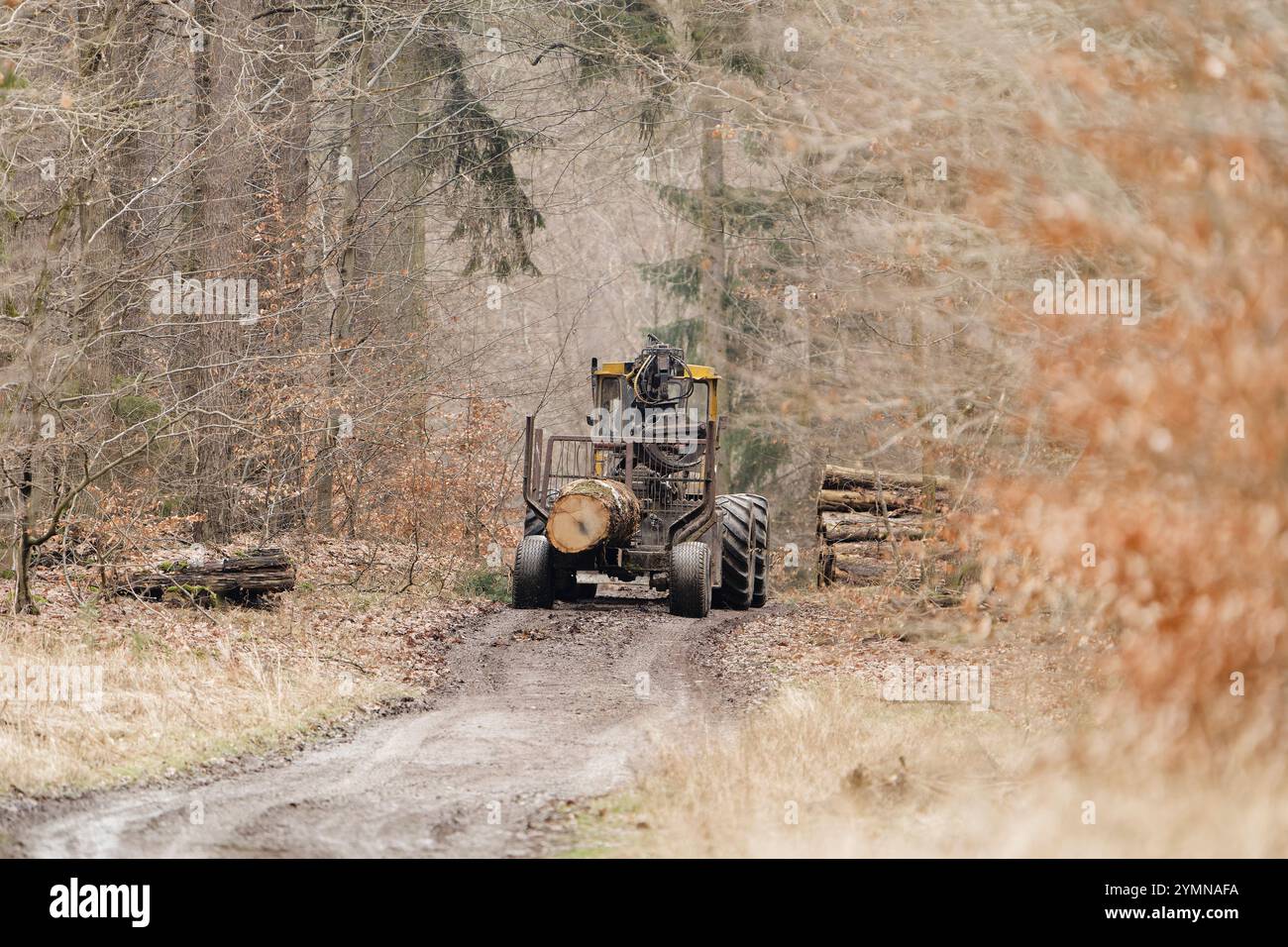 Forest and industry hi-res stock photography and images - Alamy