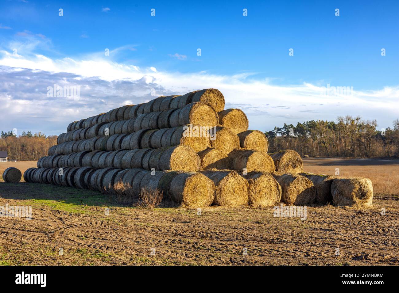 After they gather the hay hi-res stock photography and images - Alamy