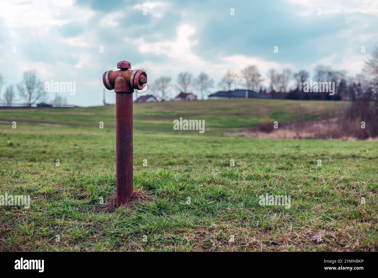 Rusty fire hydrant in a field with green grass Stock Photo - Alamy