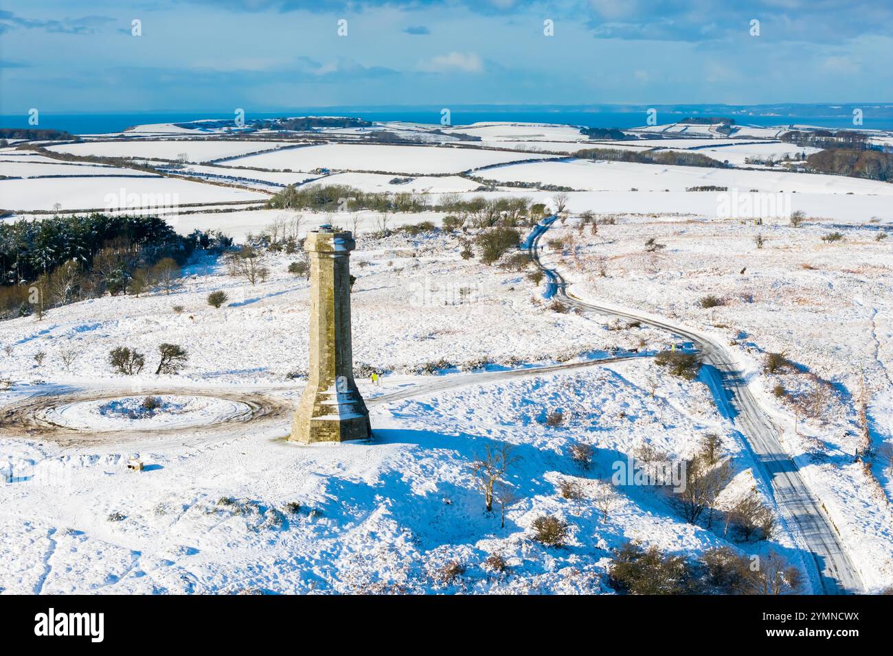 Hardy Monument, Portesham, Dorset, UK. 22nd November 2024. UK Weather ...