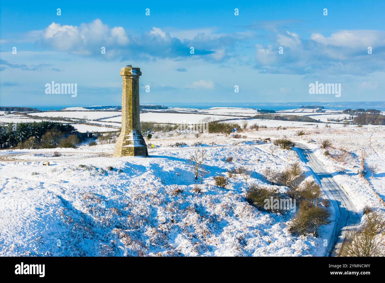 Hardy Monument, Portesham, Dorset, UK. 22nd November 2024. UK Weather ...