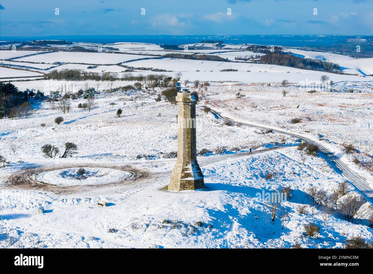 Hardy Monument, Portesham, Dorset, UK. 22nd November 2024. UK Weather ...