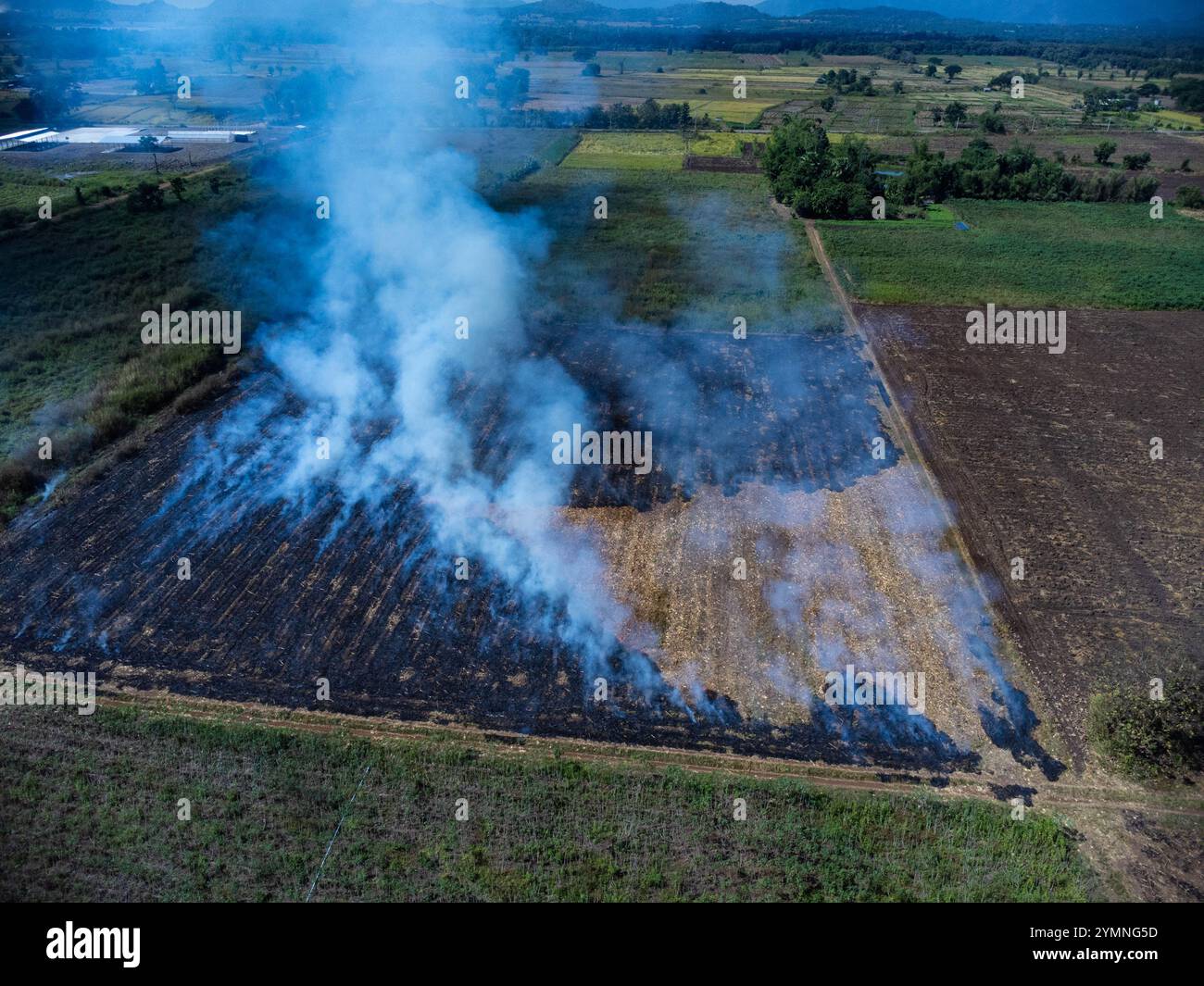 Aerial view of farmers burning corn residue after harvest. Corn field ...