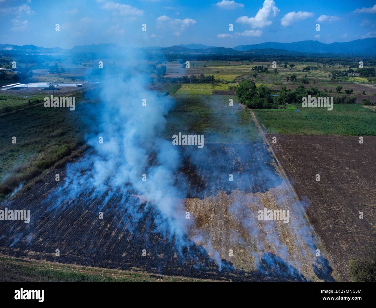 Aerial view of farmers burning corn residue after harvest. Corn field ...