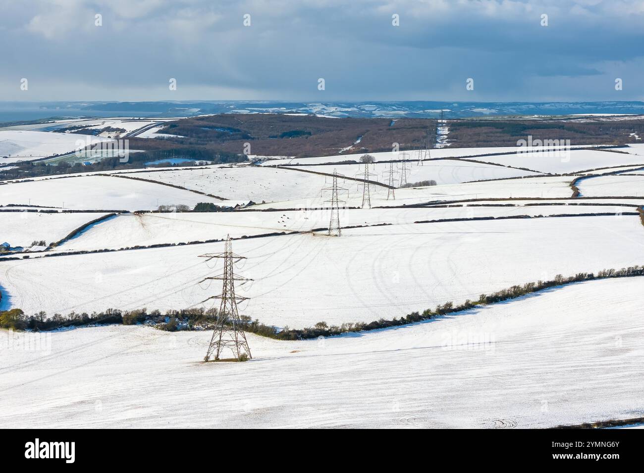 Winterbourne Abbas, Dorset, UK. 22nd November 2024. UK Weather ...
